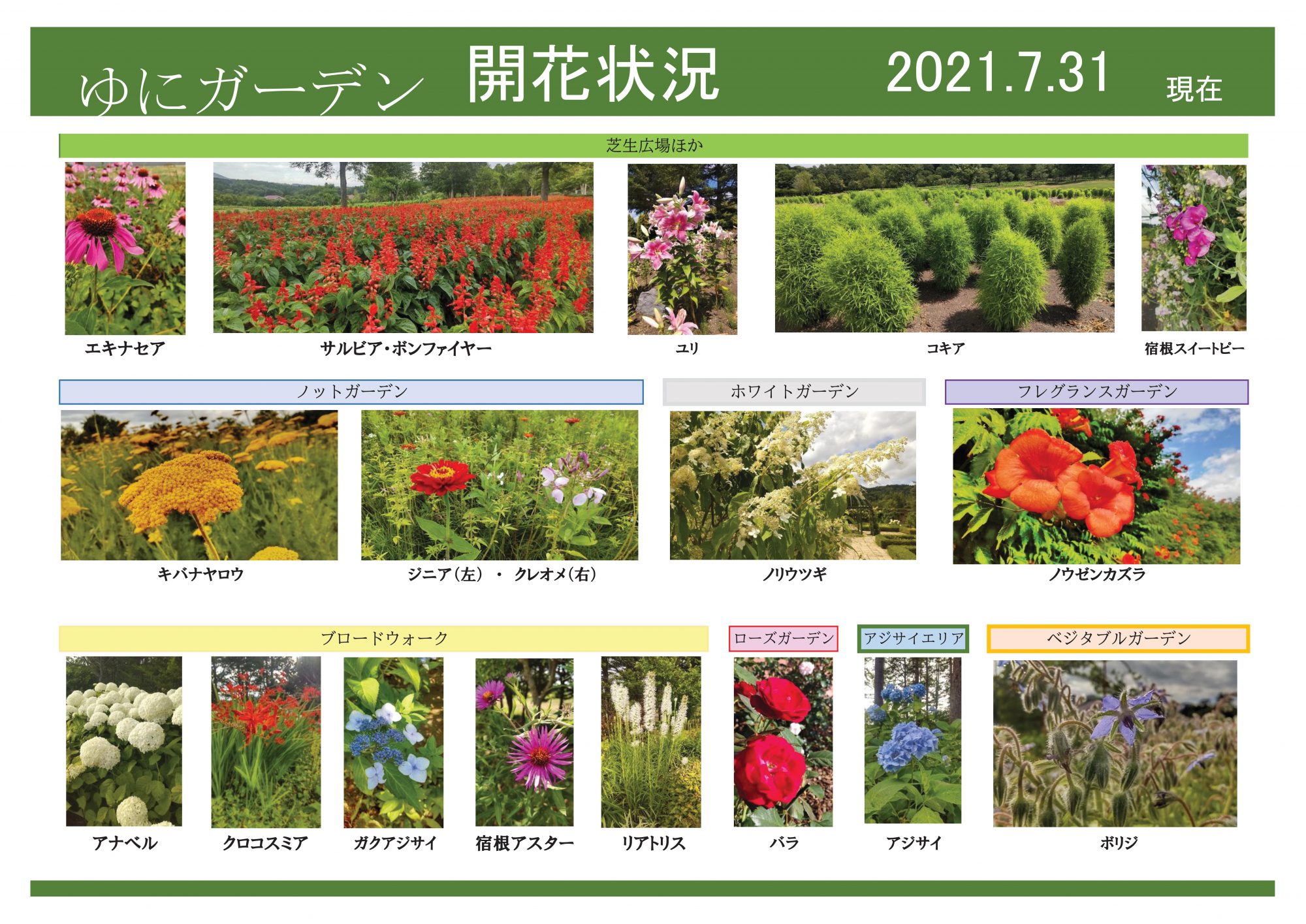 ゆにガーデン 7月31日現在｜開花情報｜お庭について｜北海道由仁町の庭園ゆにガーデン