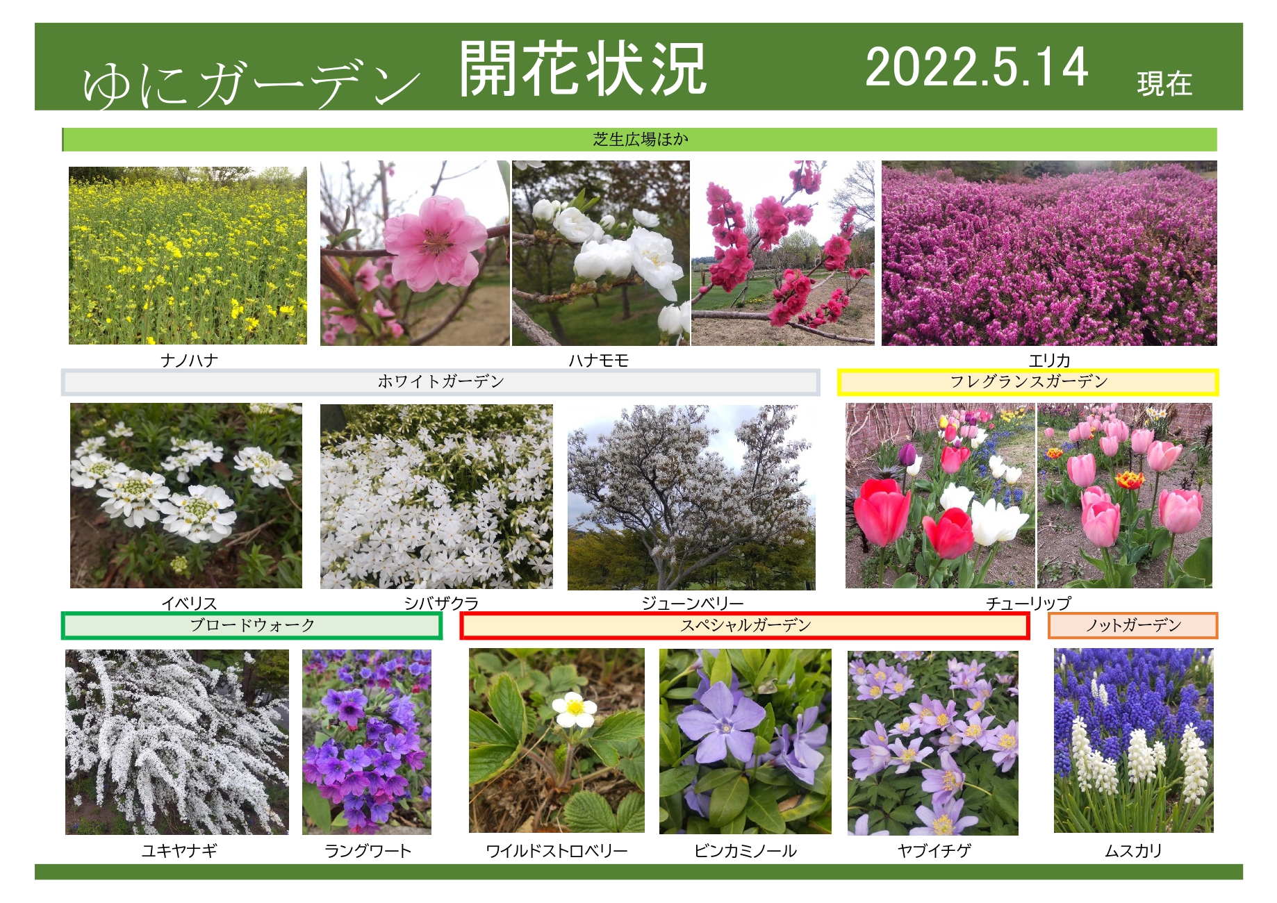 ゆにガーデン 5月14日現在｜開花情報｜お庭について｜北海道由仁町の庭園ゆにガーデン