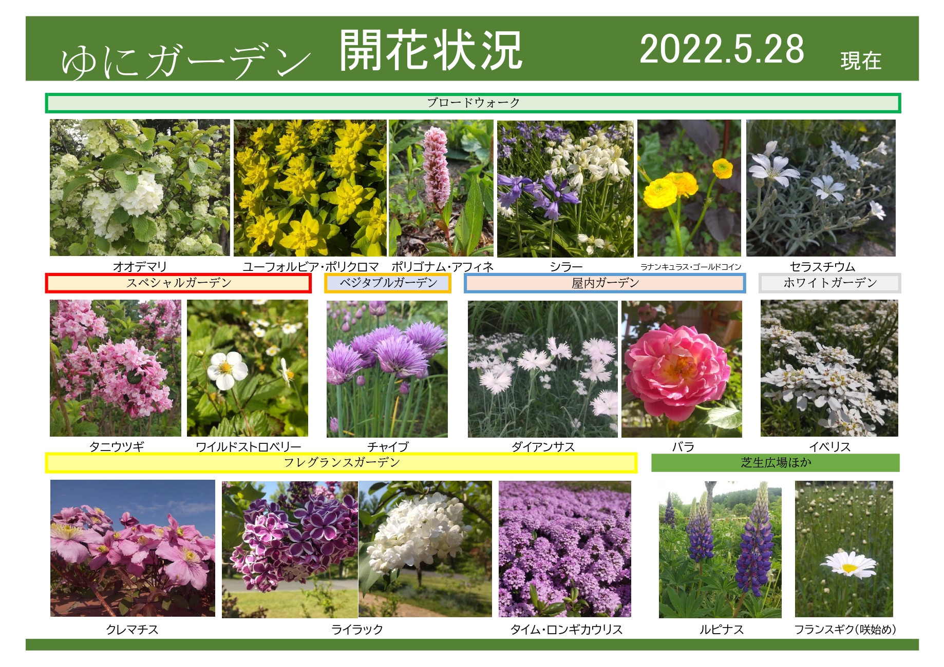 ゆにガーデン 5月28日現在｜開花情報｜お庭について｜北海道由仁町の庭園ゆにガーデン
