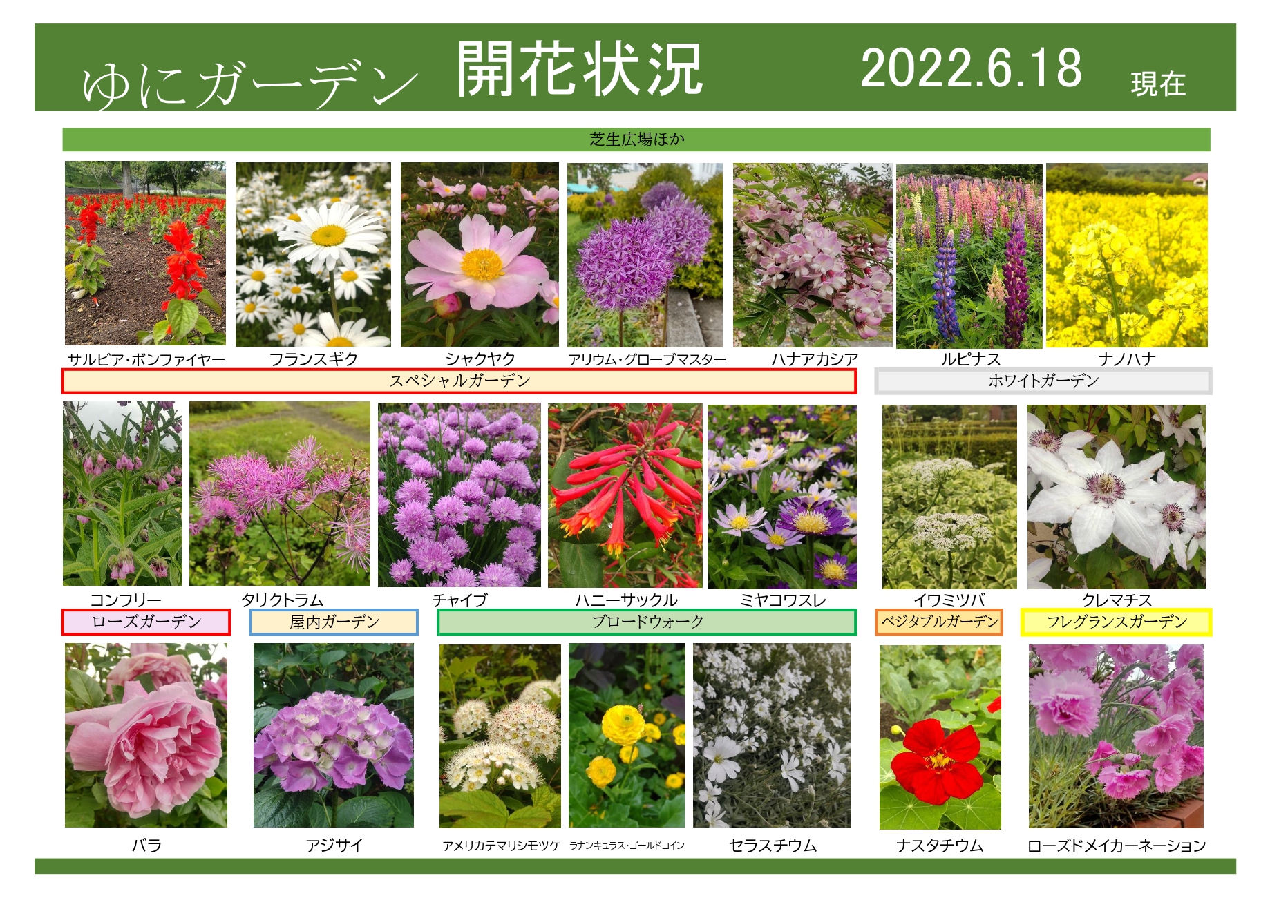 ゆにガーデン 6月18日現在｜開花情報｜お庭について｜北海道由仁町の庭園ゆにガーデン