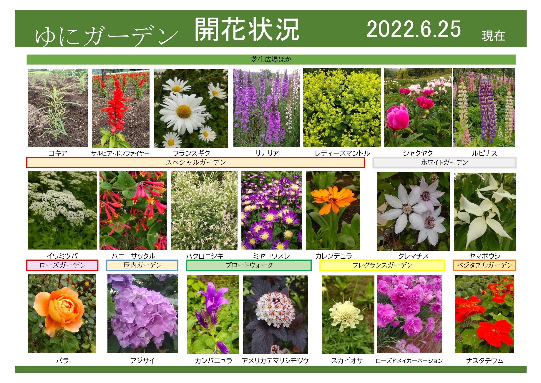ゆにガーデン 6月25日現在｜開花情報｜お庭について｜北海道由仁町の庭園ゆにガーデン
