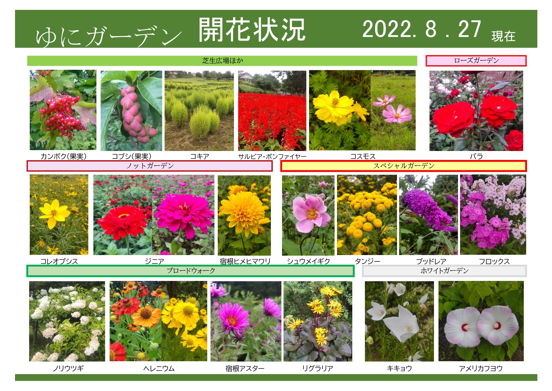 ゆにガーデン 8月27日現在｜開花情報｜お庭について｜北海道由仁町の庭園ゆにガーデン