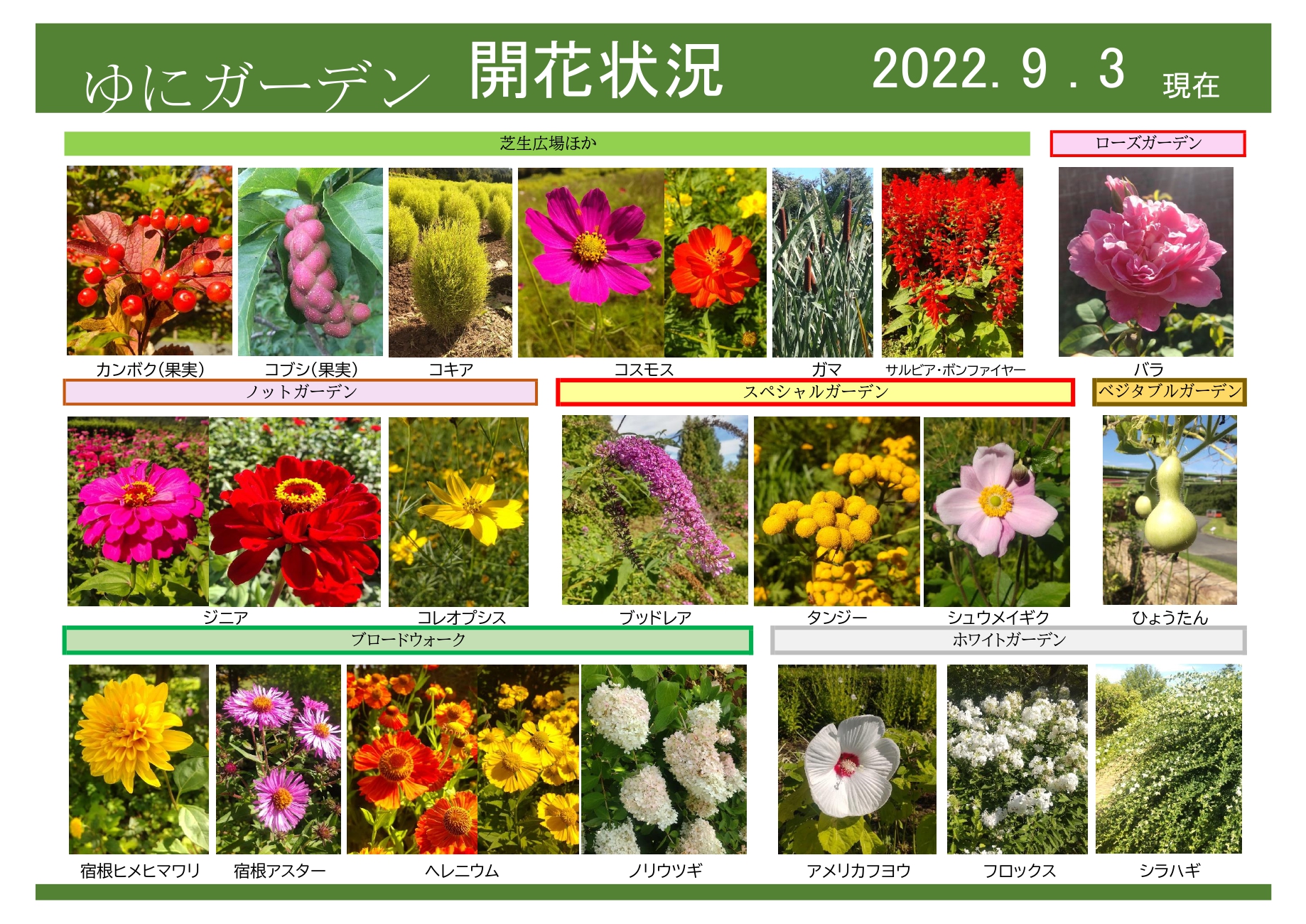 ゆにガーデン 9月3日現在｜開花情報｜お庭について｜北海道由仁町の庭園ゆにガーデン