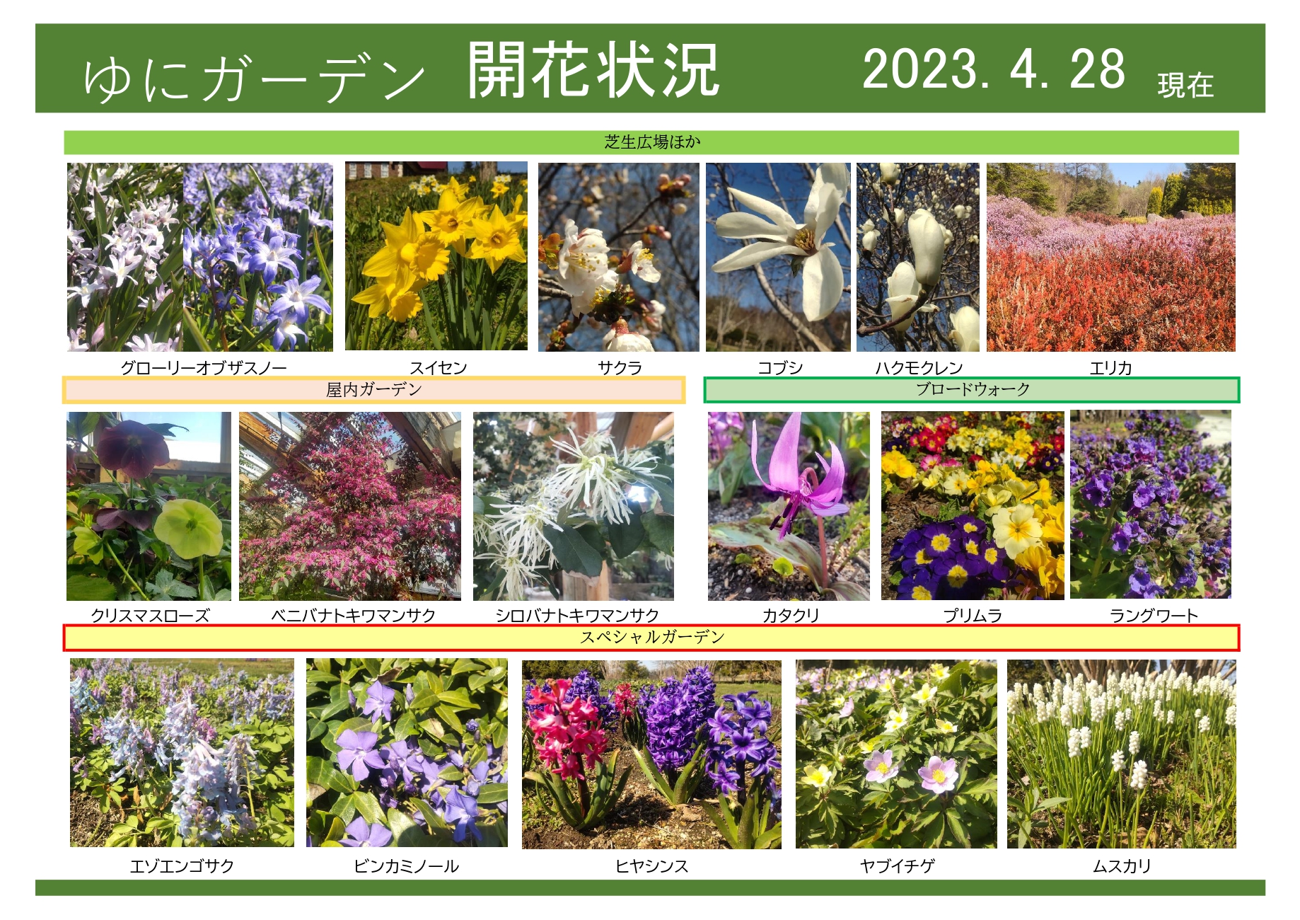 ゆにガーデン 4月28日現在｜開花情報｜お庭について｜北海道由仁町の庭園ゆにガーデン