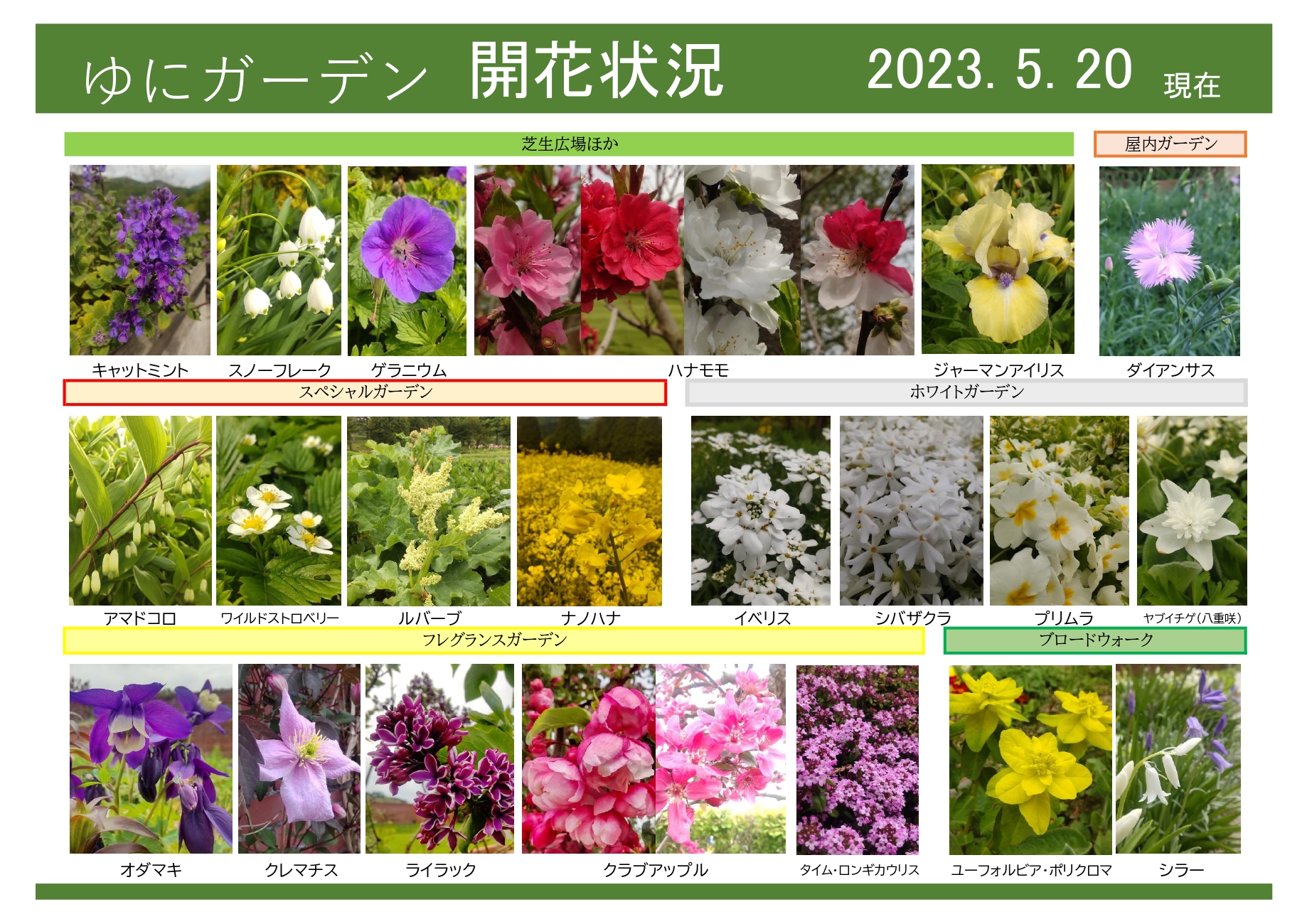 ゆにガーデン 5月20日現在｜開花情報｜お庭について｜北海道由仁町の庭園ゆにガーデン