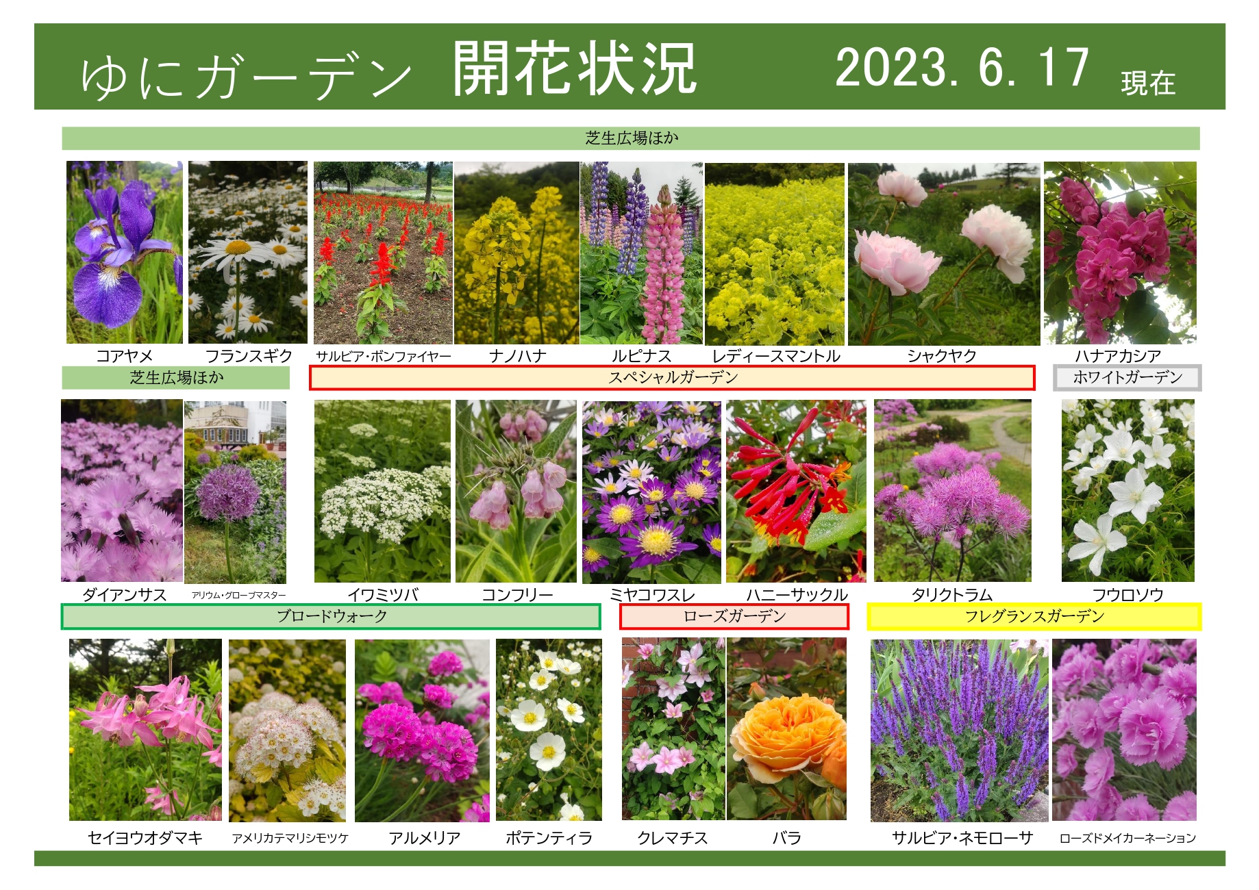 ゆにガーデン 6月17日現在｜開花情報｜お庭について｜北海道由仁町の庭園ゆにガーデン