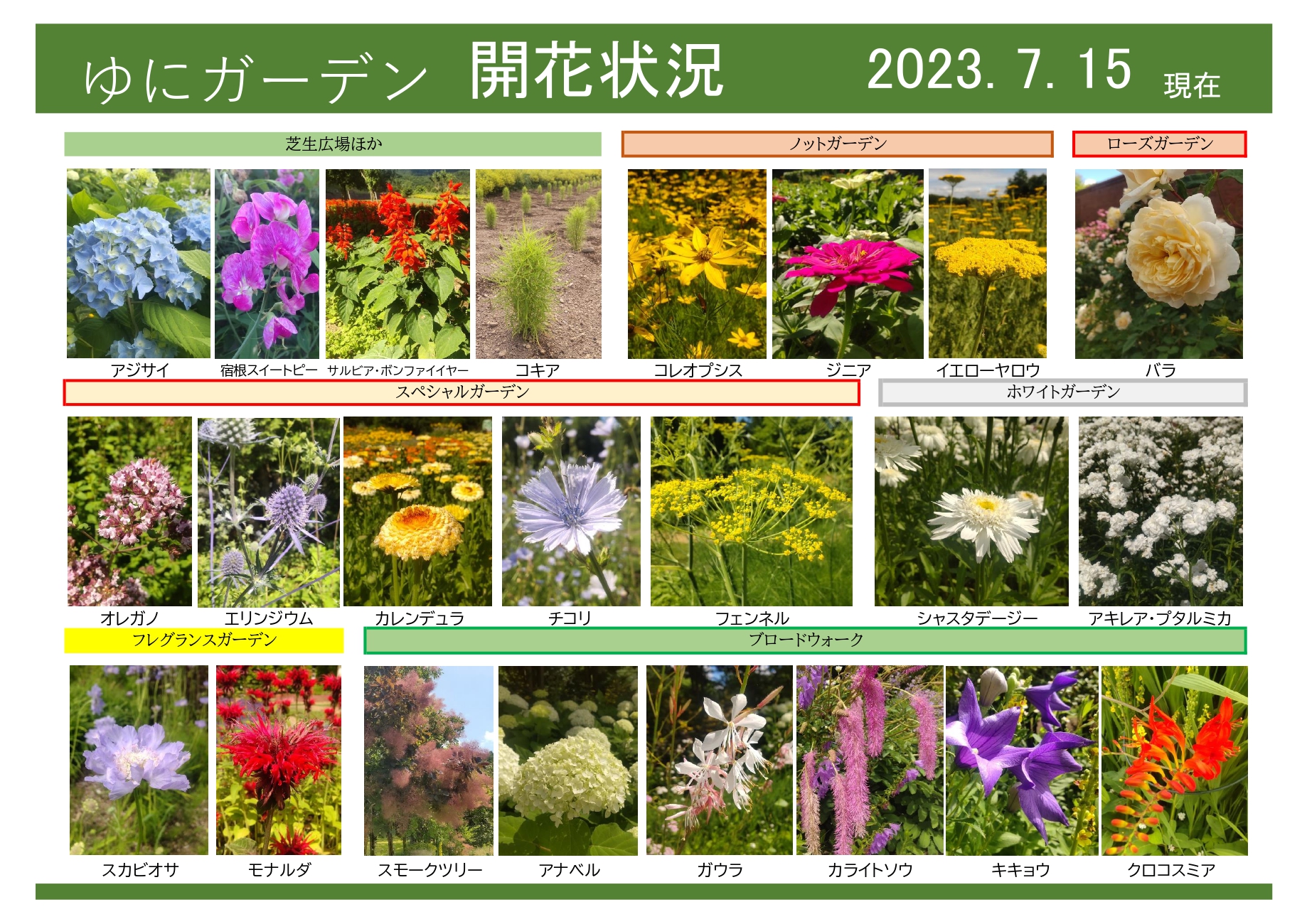 ゆにガーデン 7月15日現在｜開花情報｜お庭について｜北海道由仁町の庭園ゆにガーデン