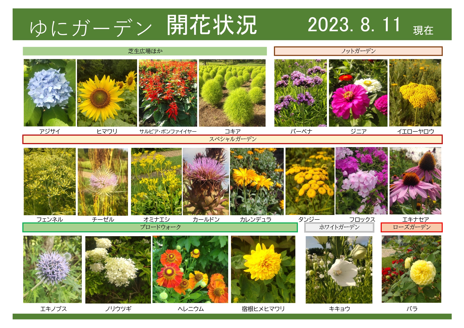 ゆにガーデン 8月11日現在｜開花情報｜お庭について｜北海道由仁町の庭園ゆにガーデン