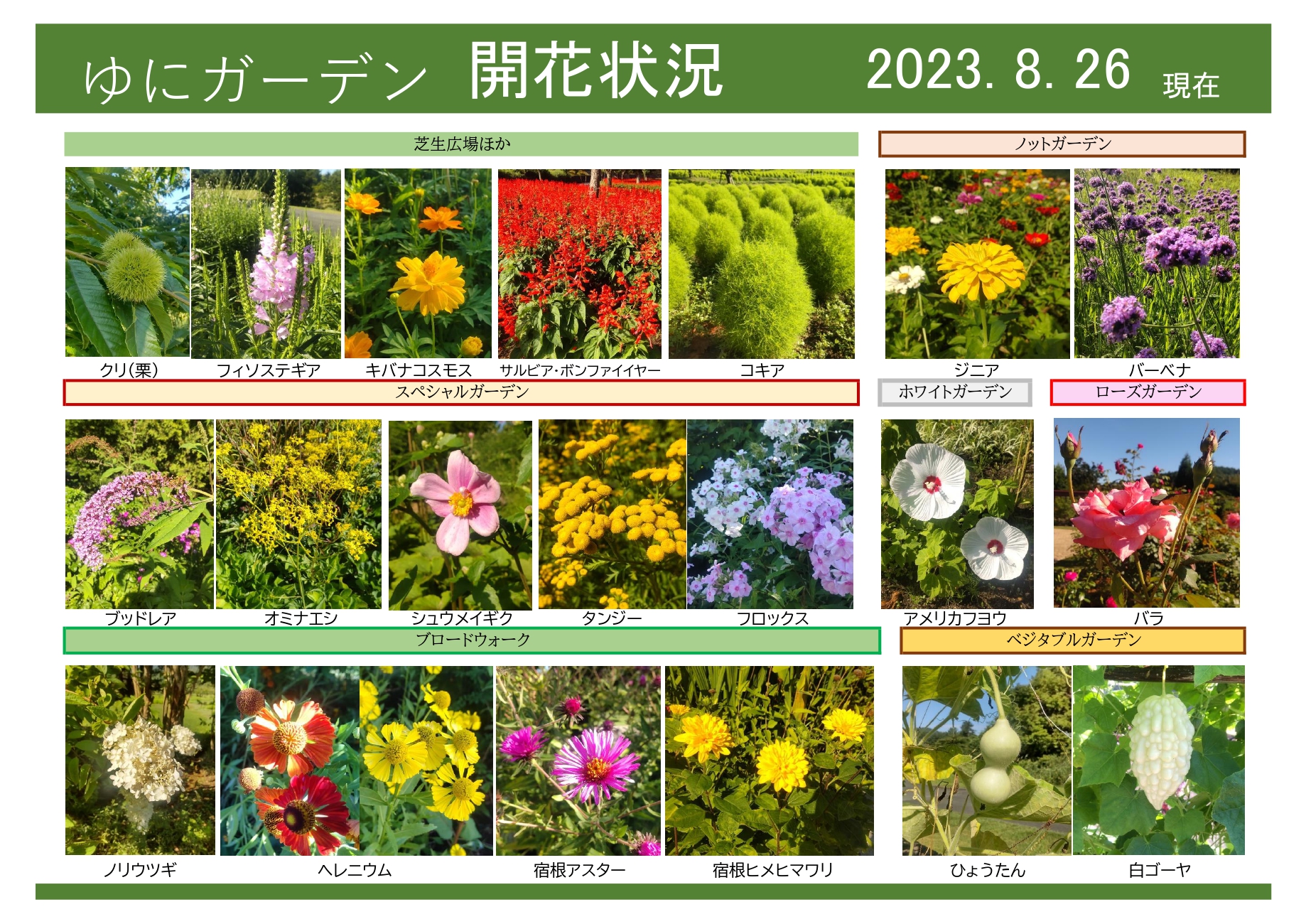 ゆにガーデン 8月26日現在｜開花情報｜お庭について｜北海道由仁町の庭園ゆにガーデン