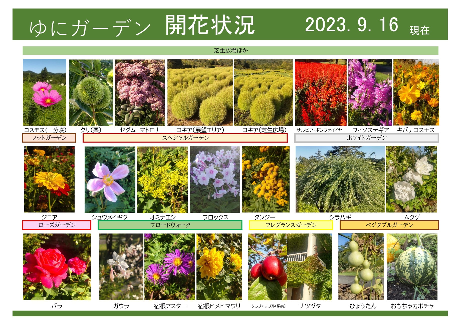 ゆにガーデン 9月16日現在｜開花情報｜お庭について｜北海道由仁町の庭園ゆにガーデン
