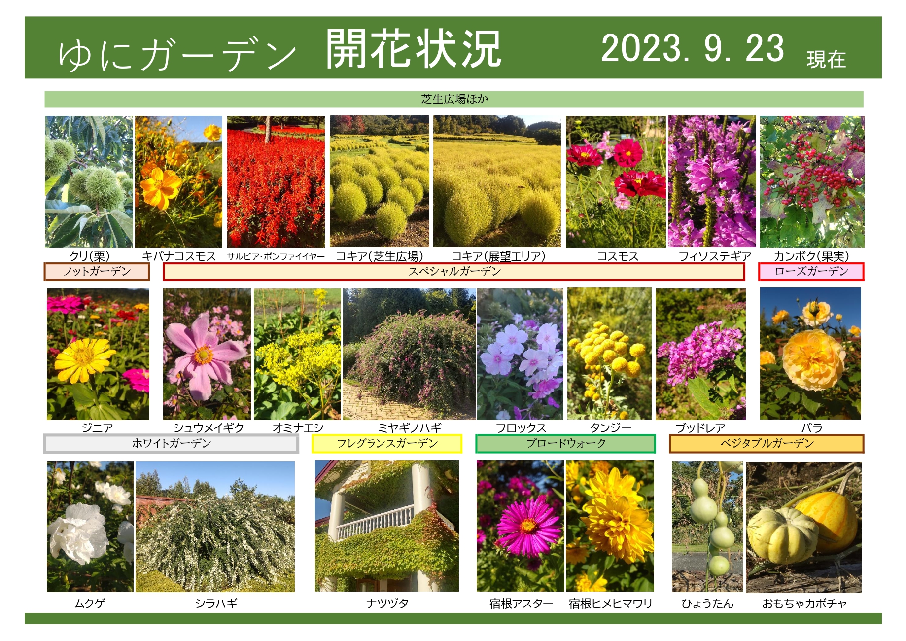 ゆにガーデン 9月23日現在｜開花情報｜お庭について｜北海道由仁町の庭園ゆにガーデン