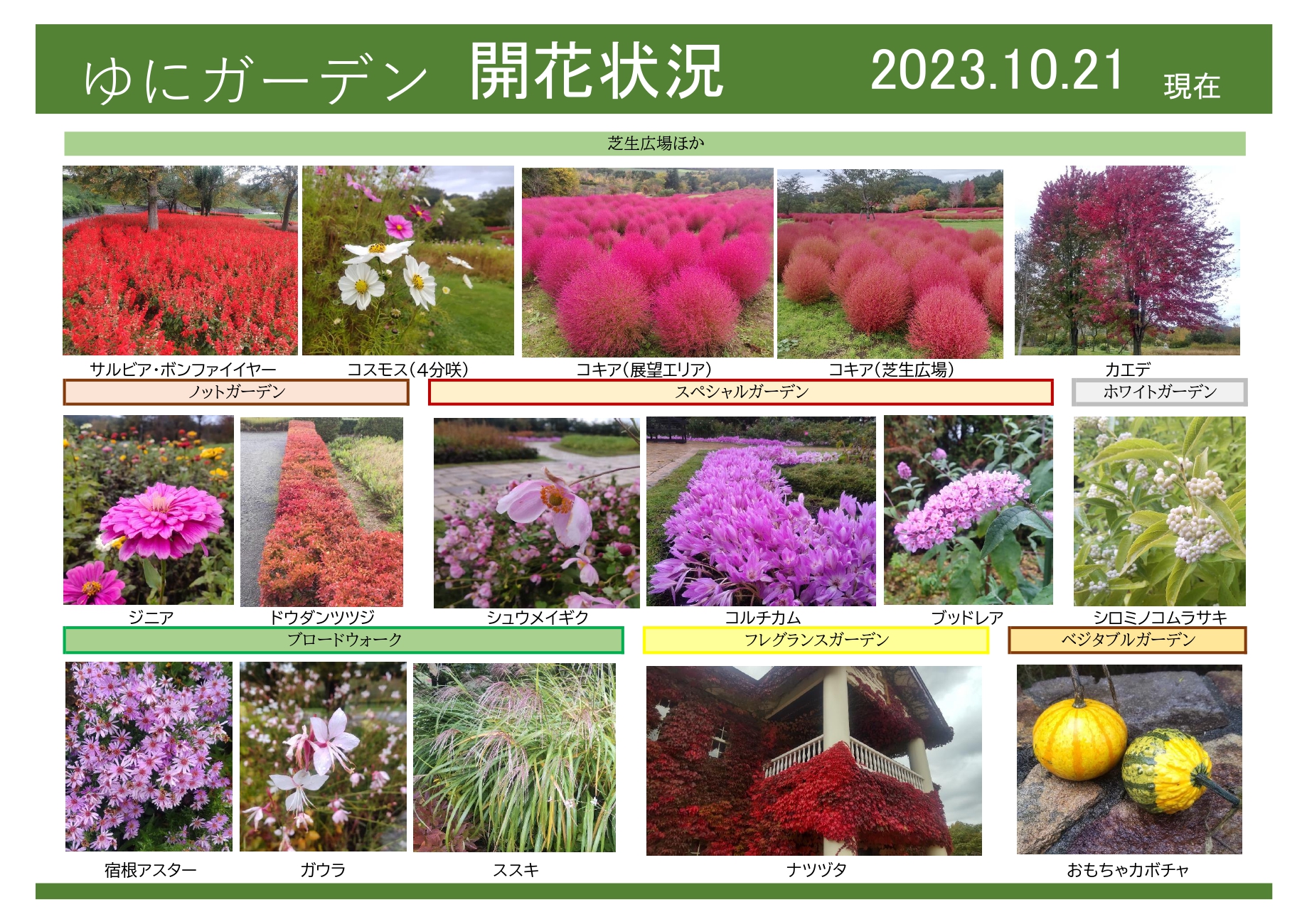 ゆにガーデン 10月21日現在｜開花情報｜お庭について｜北海道由仁町の庭園ゆにガーデン