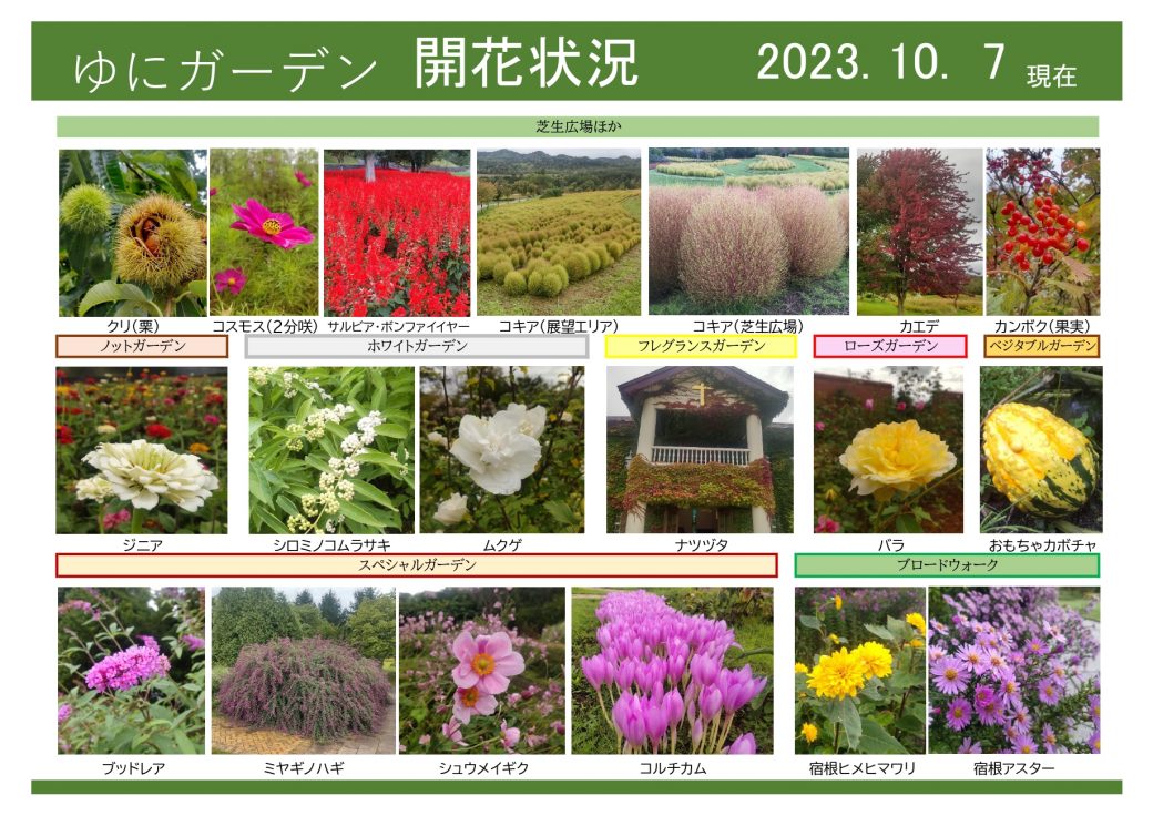 ゆにガーデン 10月7日現在｜開花情報｜お庭について｜北海道由仁町の庭園ゆにガーデン